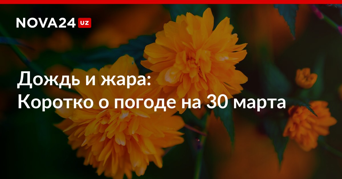 Дождь и жара: Коротко о погоде на 30 марта — NOVA24.UZ