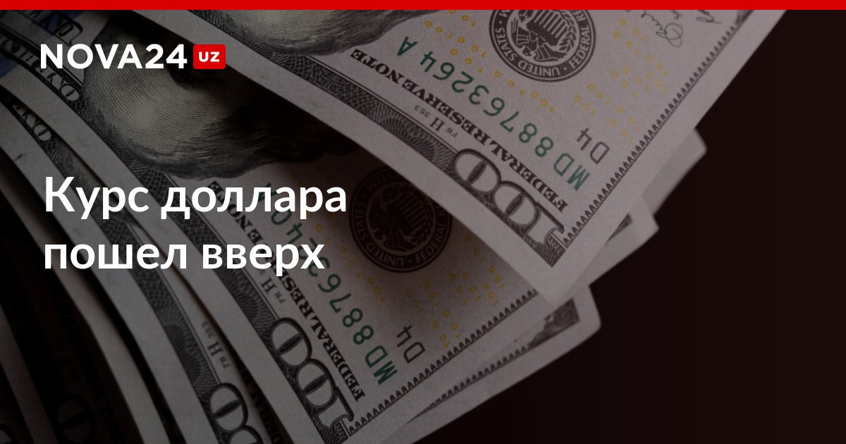 Курс доллара пошел вверх — NOVA24.UZ