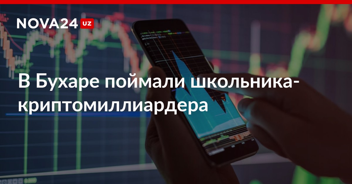 В Бухаре поймали школьника-криптомиллиардера — NOVA24.UZ