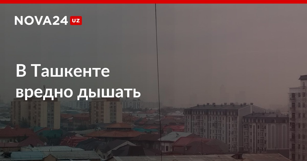 В Ташкенте вредно дышать — NOVA24.UZ