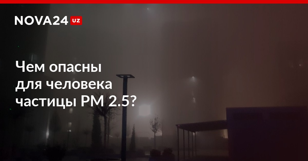 Чем опасны для человека частицы РМ 2.5? — NOVA24.UZ