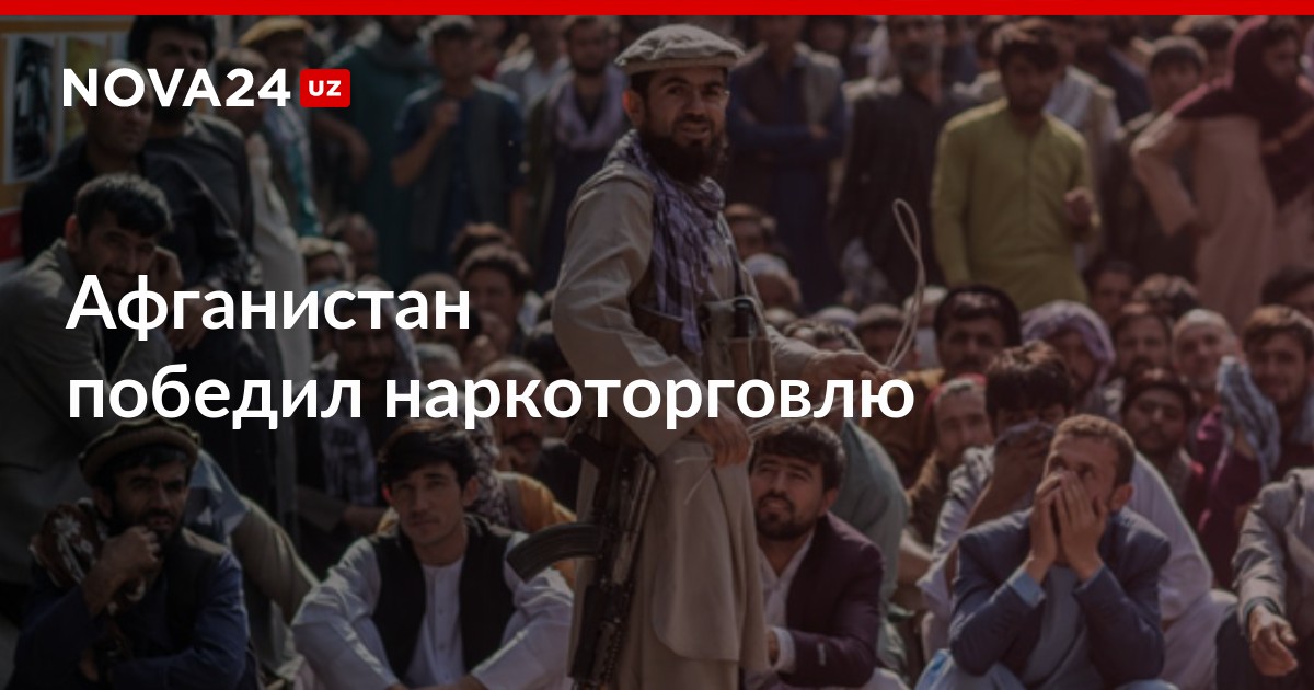 Афганистан победил наркоторговлю — NOVA24.UZ