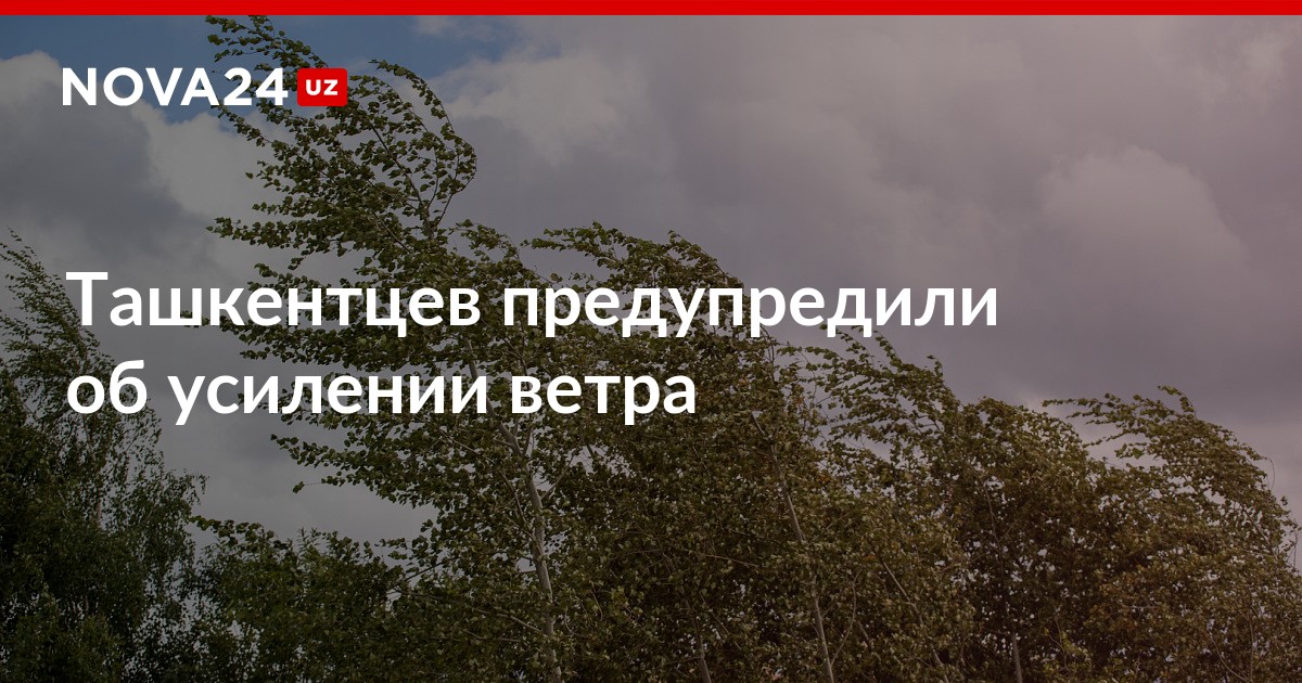 Ташкентцев предупредили об усилении ветра – Новости Узбекистана – NOVA24.UZ