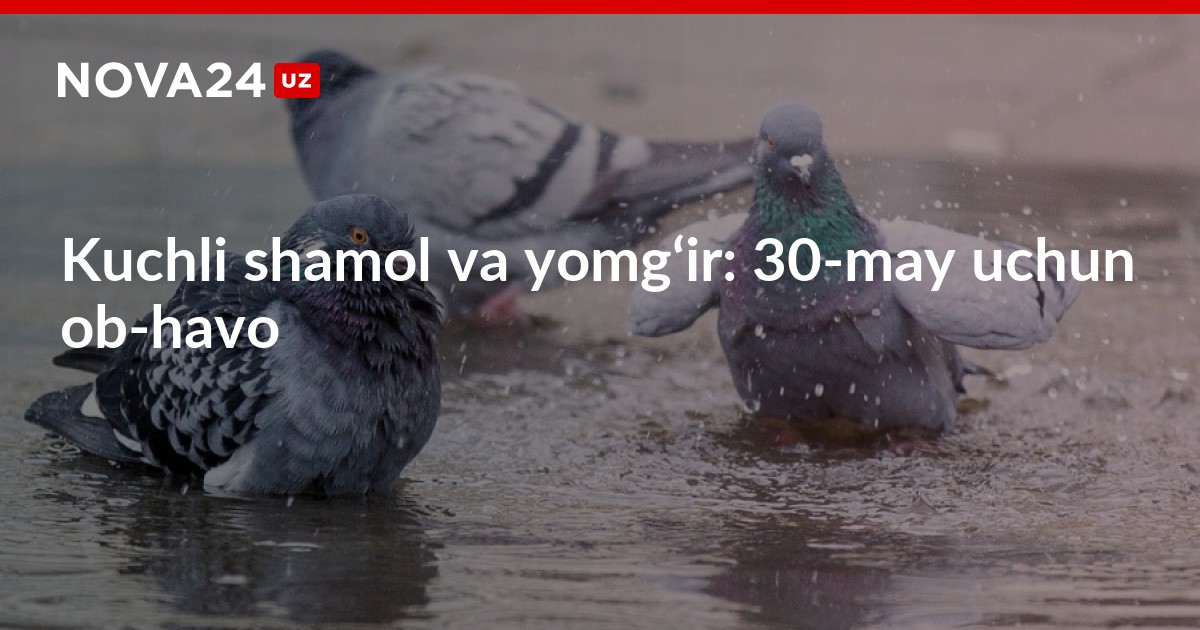 Kuchli shamol va yomg‘ir: 30-may uchun ob-havo — NOVA24.UZ