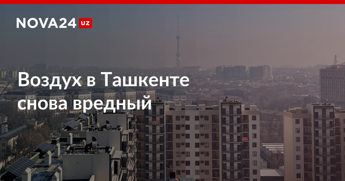 Воздух в Ташкенте снова вредный – Новости Узбекистана – NOVA24.UZ