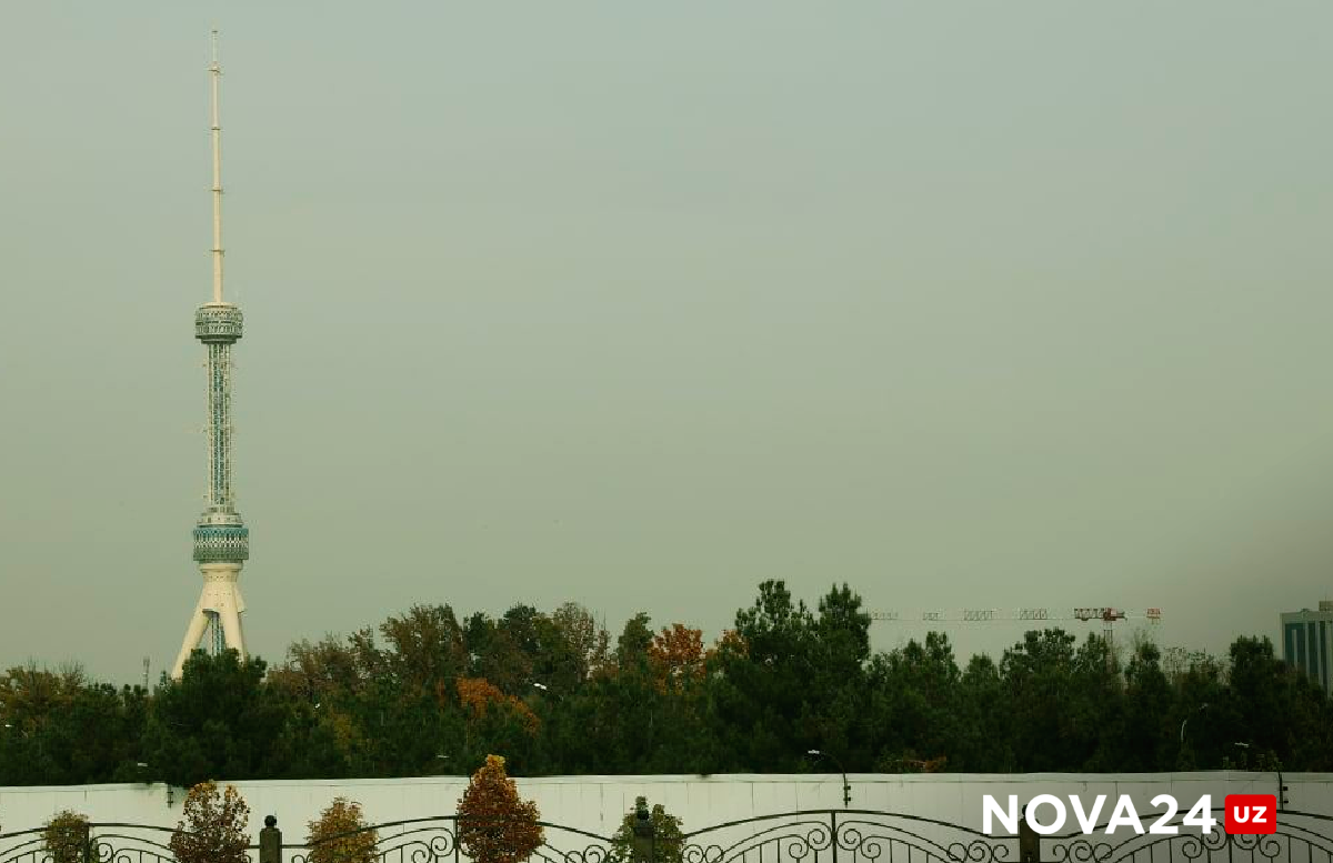 Air pollution in Tashkent reached dangerous levels — NOVA24.UZ